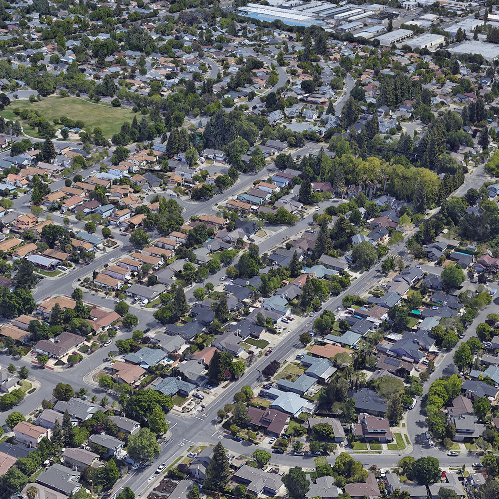 Trees for california